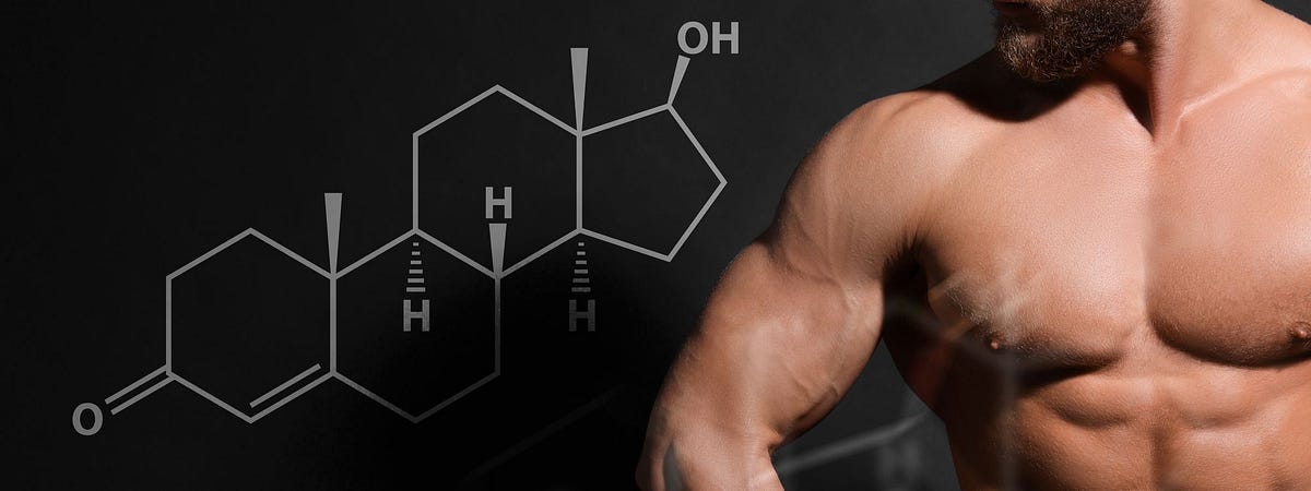 The Secrets of Muscle Hypertrophy | by Wellyme | Oct, 2024 | Medium