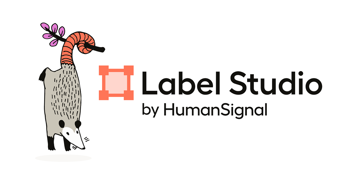 How to setup Label-Studio for your next machine learning project | by ...