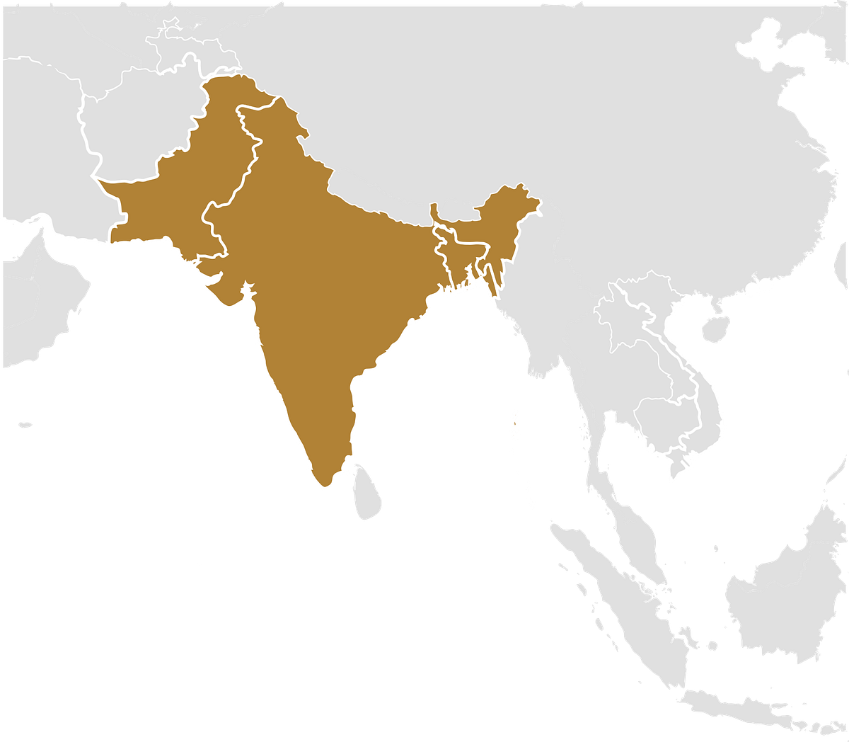 Understanding India and the Indias within | by Venkatrangan Gokul | Medium