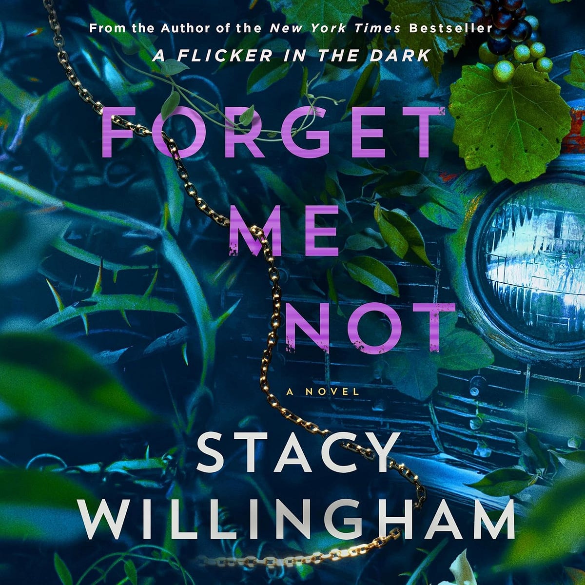 Stacy Willingham Audiobook: Forget Me Not | Medium