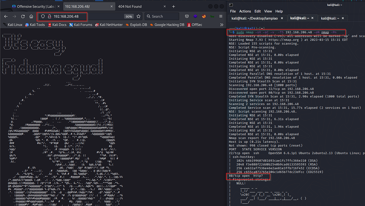 Lampiao Vulnhub/Proving Grounds CTF Lab | by Anytimehack | Medium