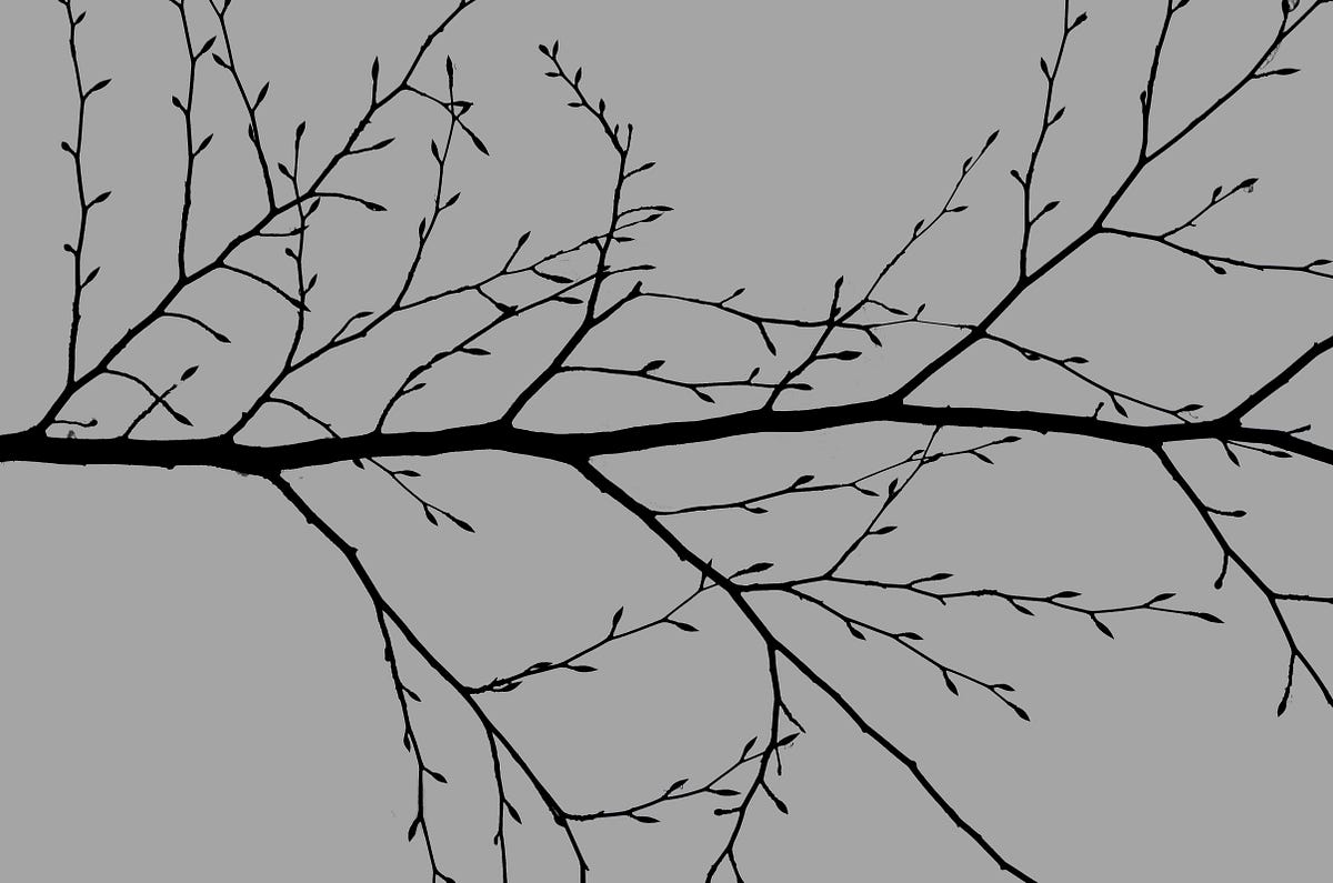 A Gentle Introduction to Branch & Bound | by Bruno Scalia C. F. Leite ...