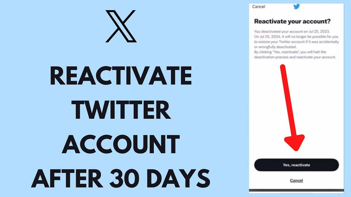 can you retrieve deleted twitter account | by Olvidado | Aug, 2024 | Medium