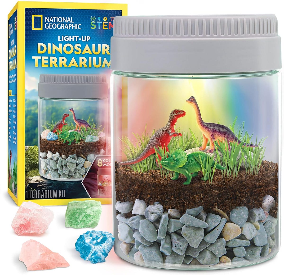 NATIONAL GEOGRAPHIC Dinosaur Terrarium Kit Review: A Jurassic Oasis ...