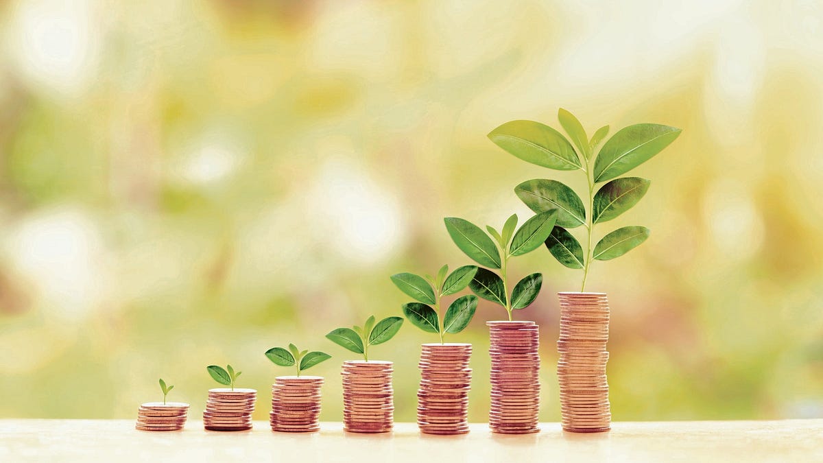 Roadmap to your own financial freedom | by nerdyengineer | Medium
