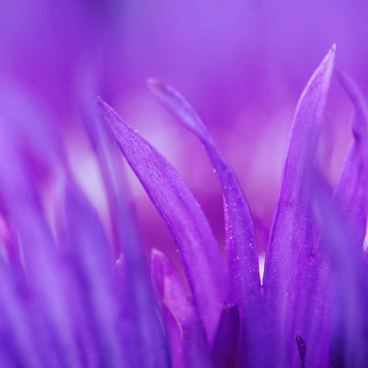 Poetry Writing Prompts — Week Twenty-Eight | by Chelsea Marie | The Storyteller’s Vault | Jul ...