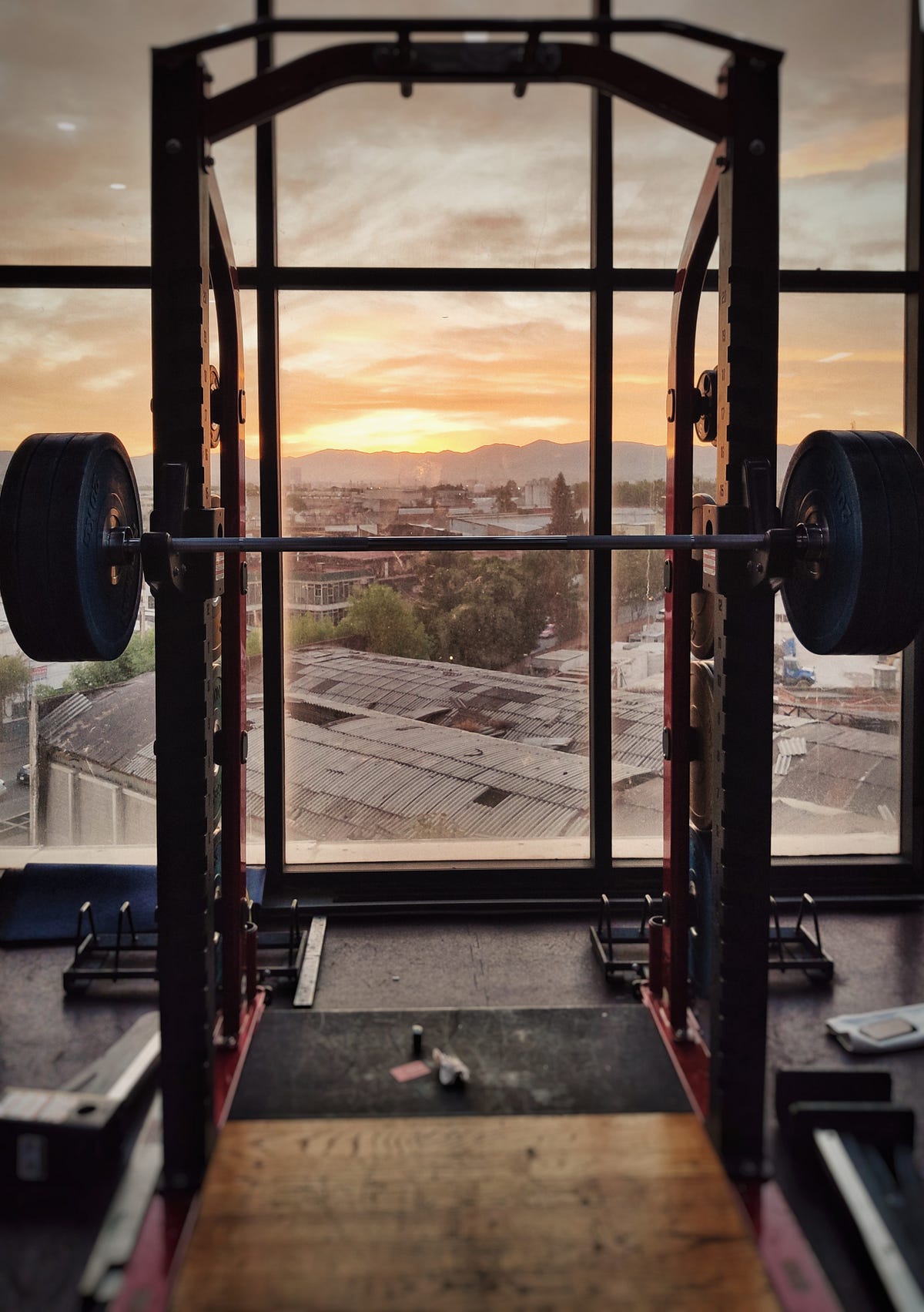 Dear Gym, I Miss You. Dear Gym, | by Adrian Tran | Medium