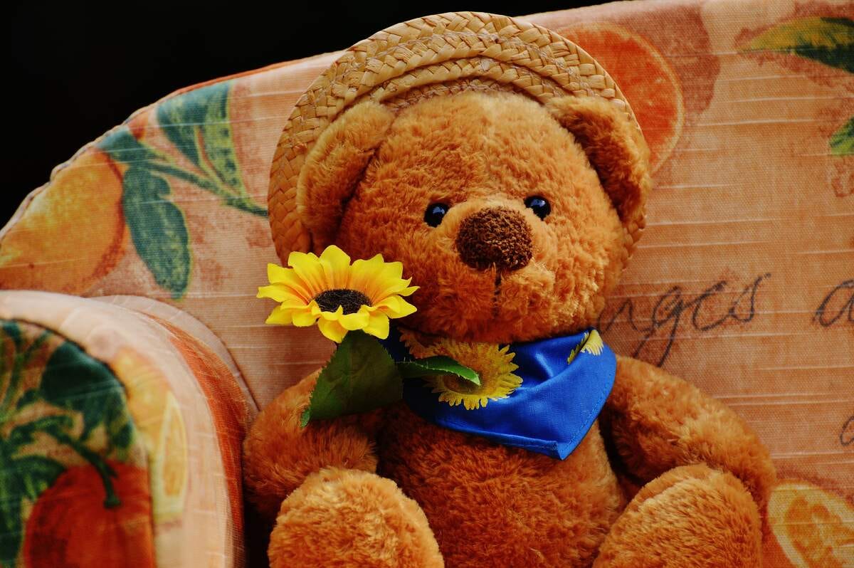 It’s Plush Animal Lover’s Day | October 28, 2024 | by Checkiday | Oct ...