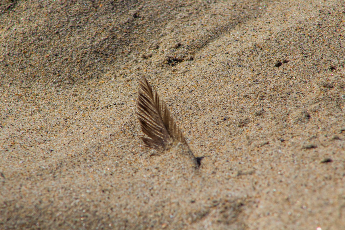 Buried. A Poem | by Jonathan Greene | Loose Words | Medium