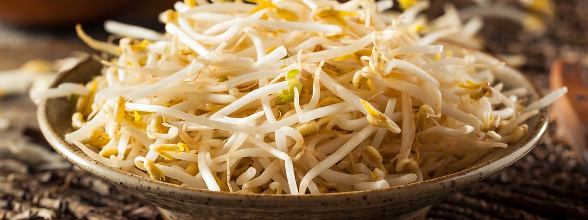 Sprouted Seeds: Nutritional Benefits, Home Production, and Hygienic ...