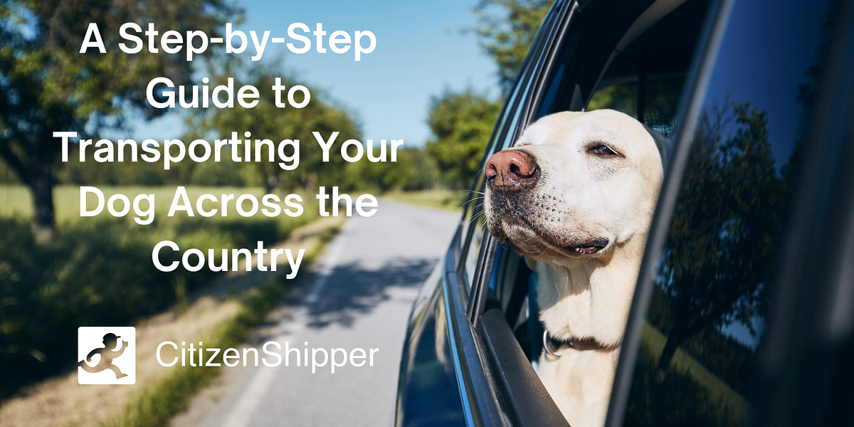 A Step-by-Step Guide to Transporting Your Dog Across the Country | by ...