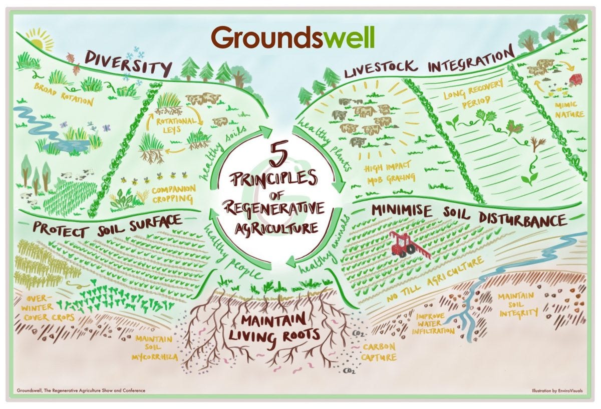 Introduction to Regenerative Agriculture | by Bryan Vestal | Age of ...