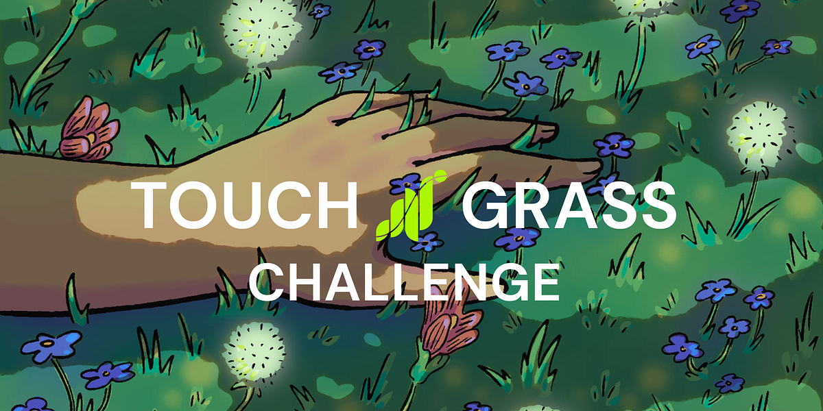 Touch Grass Challenge GetGrass.IO | by Depin Daily | Coinmonks | Medium