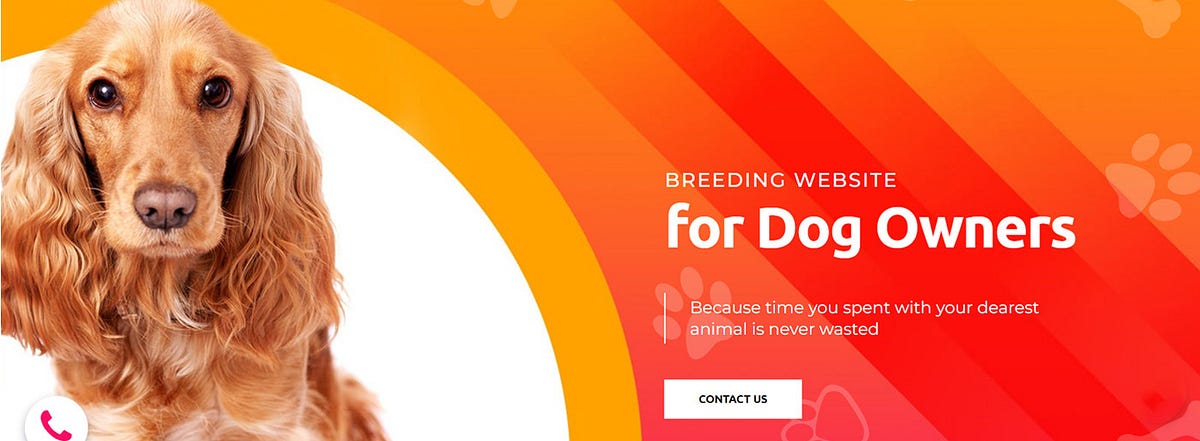 How to Make a Dog Breeding Website: Top Strategies Unleashed | by Lucas ...