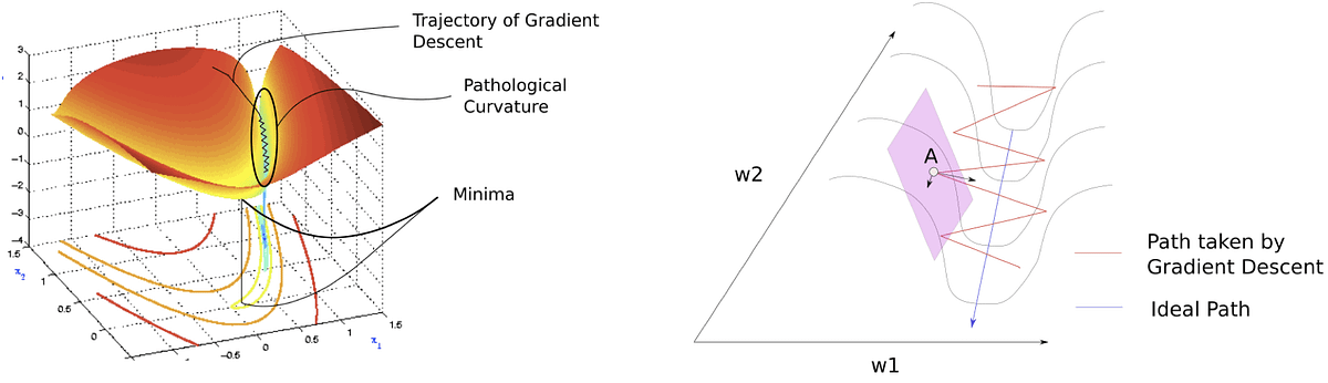 Demystifying ML Optimizers: Understanding SGD, Shampoo, and Beyond | by ...
