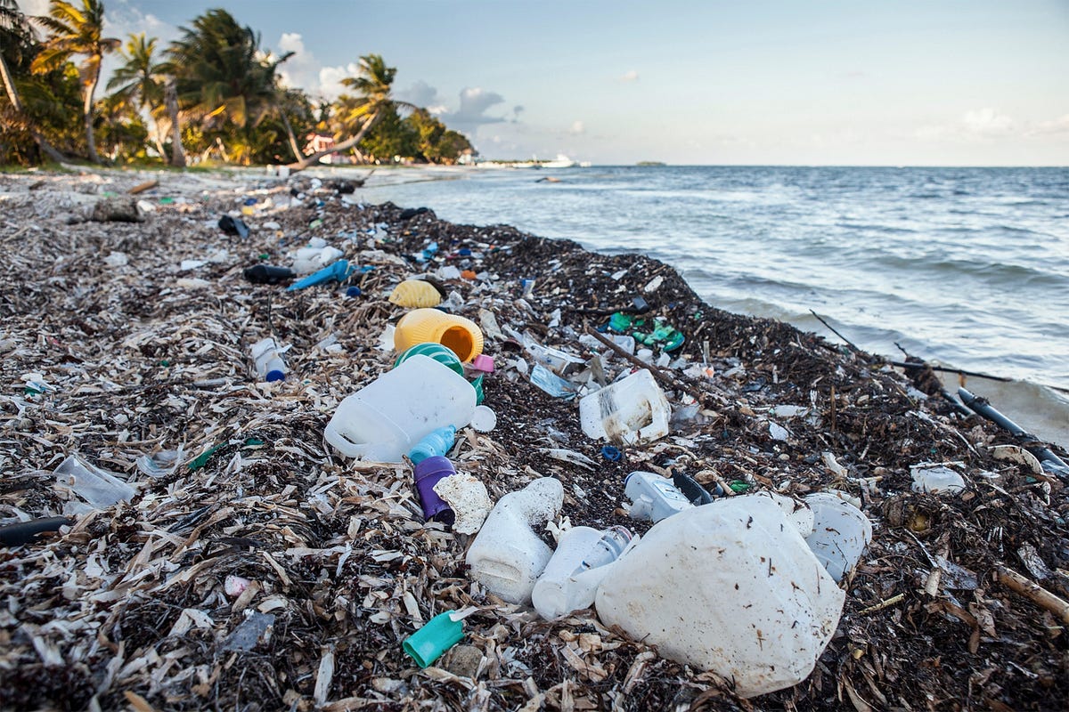 The Future of Ocean Pollution. Over the years, our planet has been ...