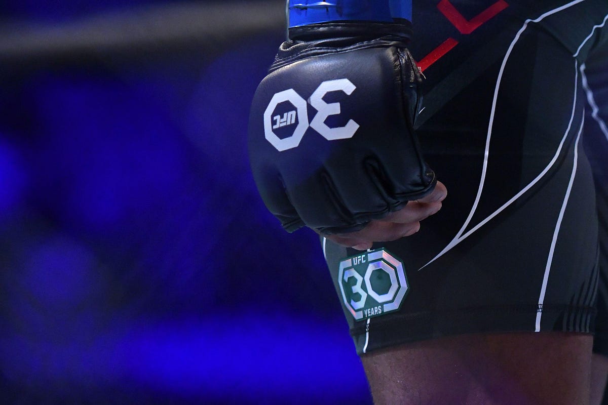 The UFC Full Year Review (2023). The organisation created to deliver ...