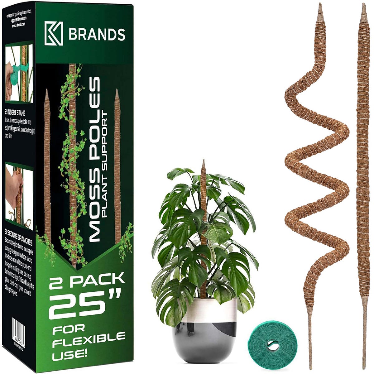 5 Best Pot for Monstera: A Comprehensive Guide for Plant Enthusiasts ...