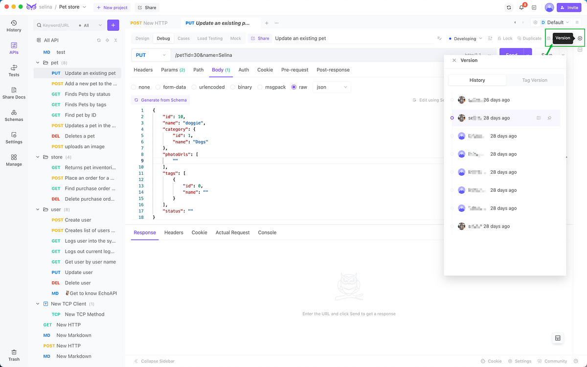 The Transition In Api Version Management Upgrading From Postman To Echoapi By Vera Dec