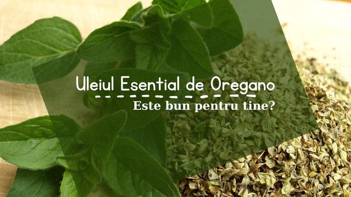 Uleiul esential de oregano: este bun pentru tine? - Picatura Naturii ...