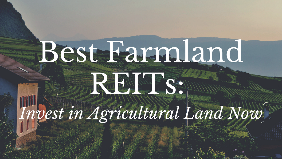 Best Farmland REITs: Invest in Agricultural Land Now | by Brogan ...