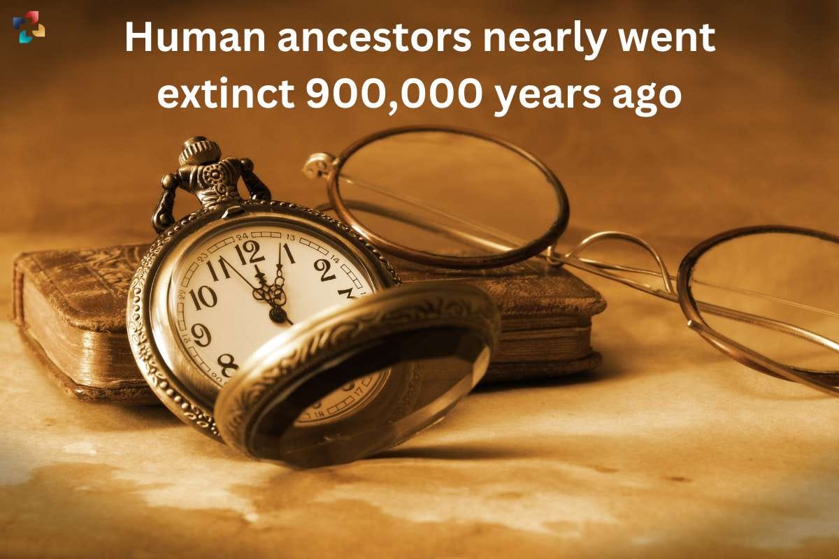 Human ancestors nearly went extinct 900,000 years ago | by ...