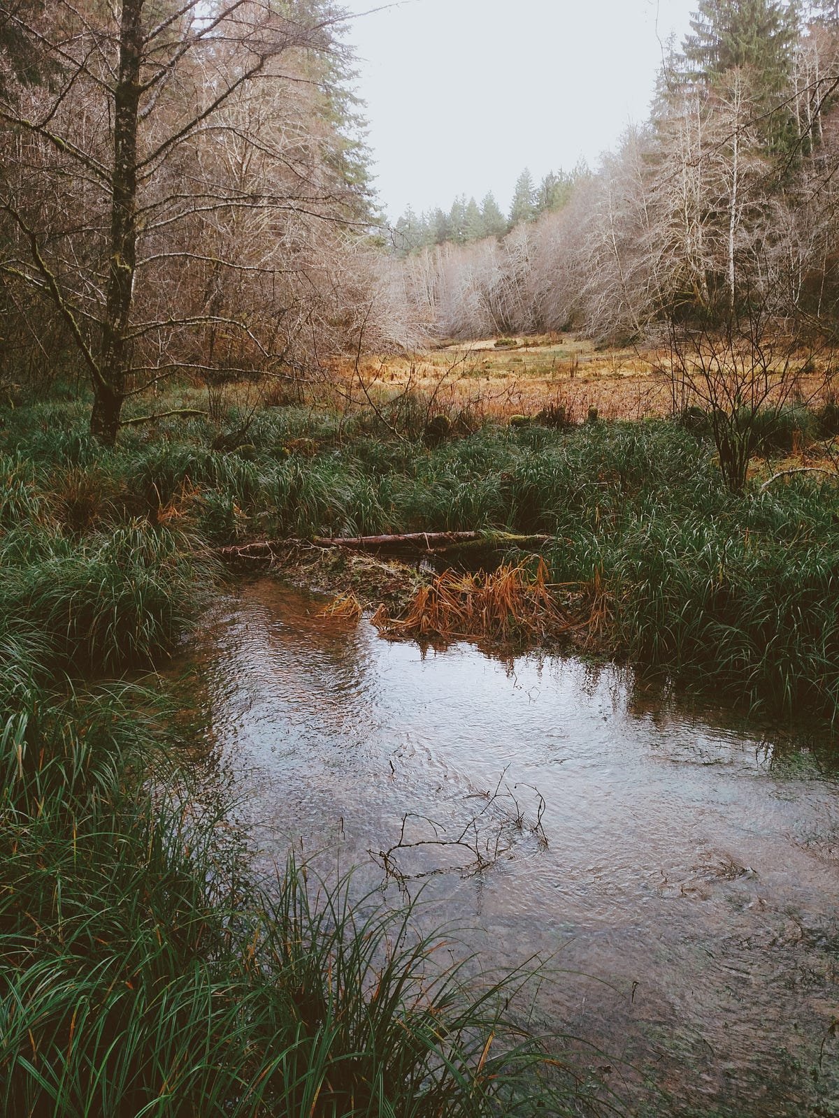 A List Most Strange. bottle of tequila five black robes two… | by Jeff ...