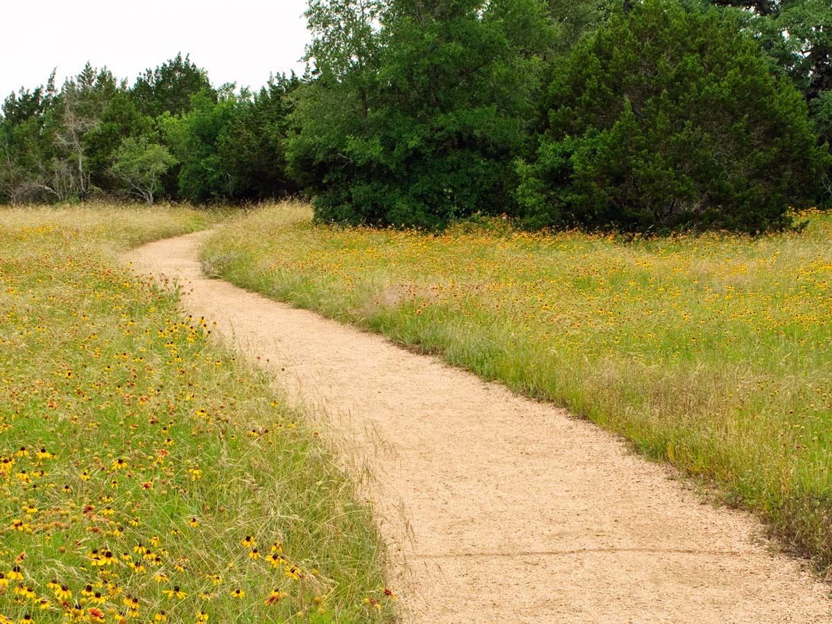 Always Demand an Email Trail. Grace, you’re telling stories — you… | by ...