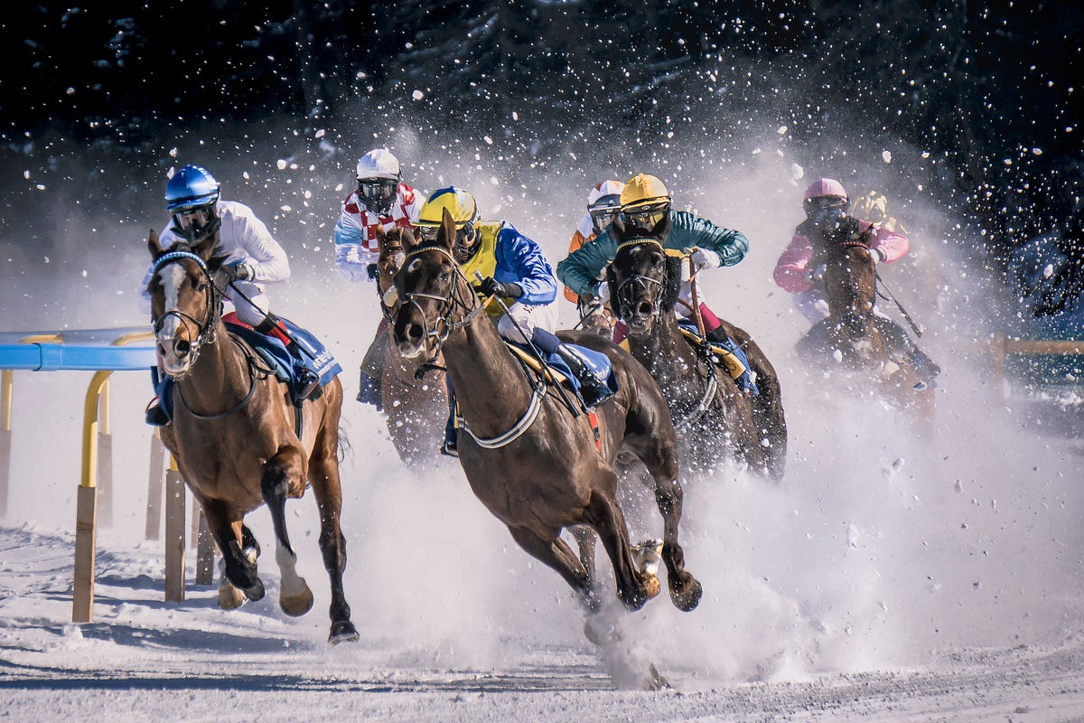 Super Easy Wins: Unlock your Winning Streak in Horse Racing (2023) | by ...