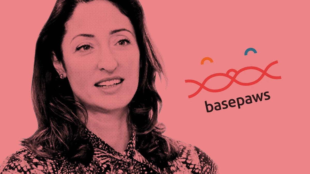 Founder Spotlight: Anna Skaya (Basepaws) | by Caroline Casson | Medium