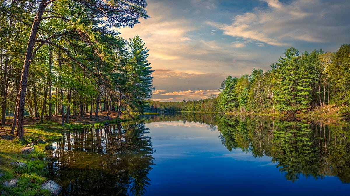 Nature is god. We are all part of one, part of this… | by Prasannatmane ...