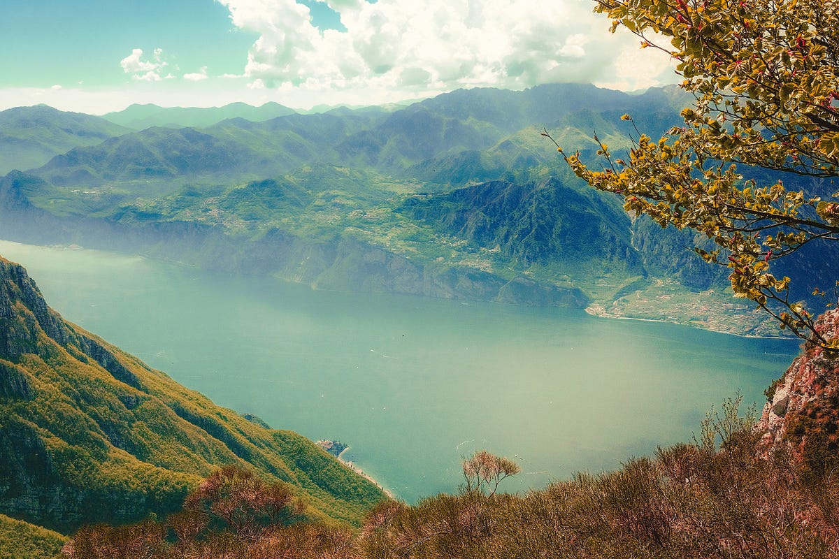 Handling Form Input with Vue.js with v-model | by John Au-Yeung | Level ...