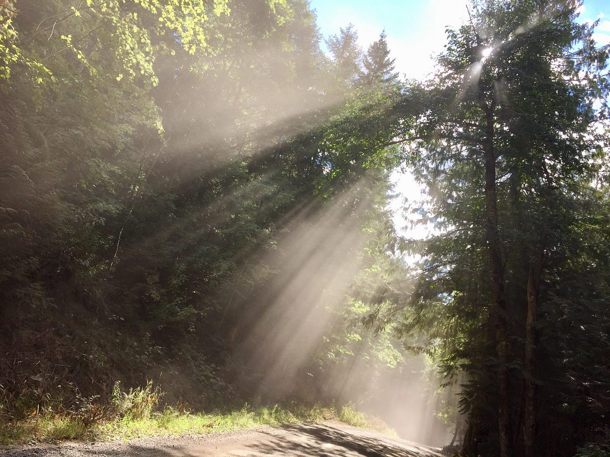 Visitor Experience as a Transformational Process Within the Liminal ...