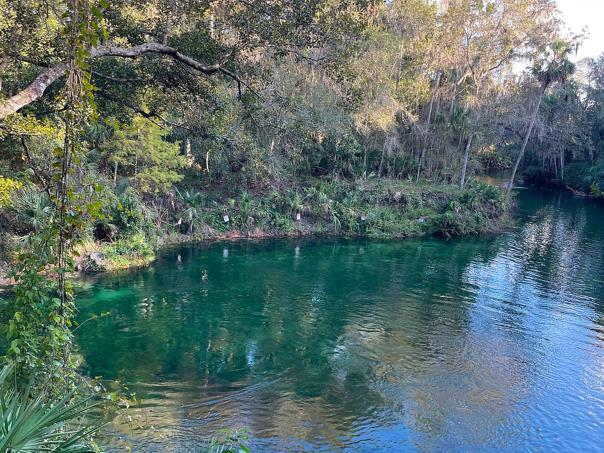 Life & Death: The Spooky Side of Florida Springs | by Karen McLaughlin ...