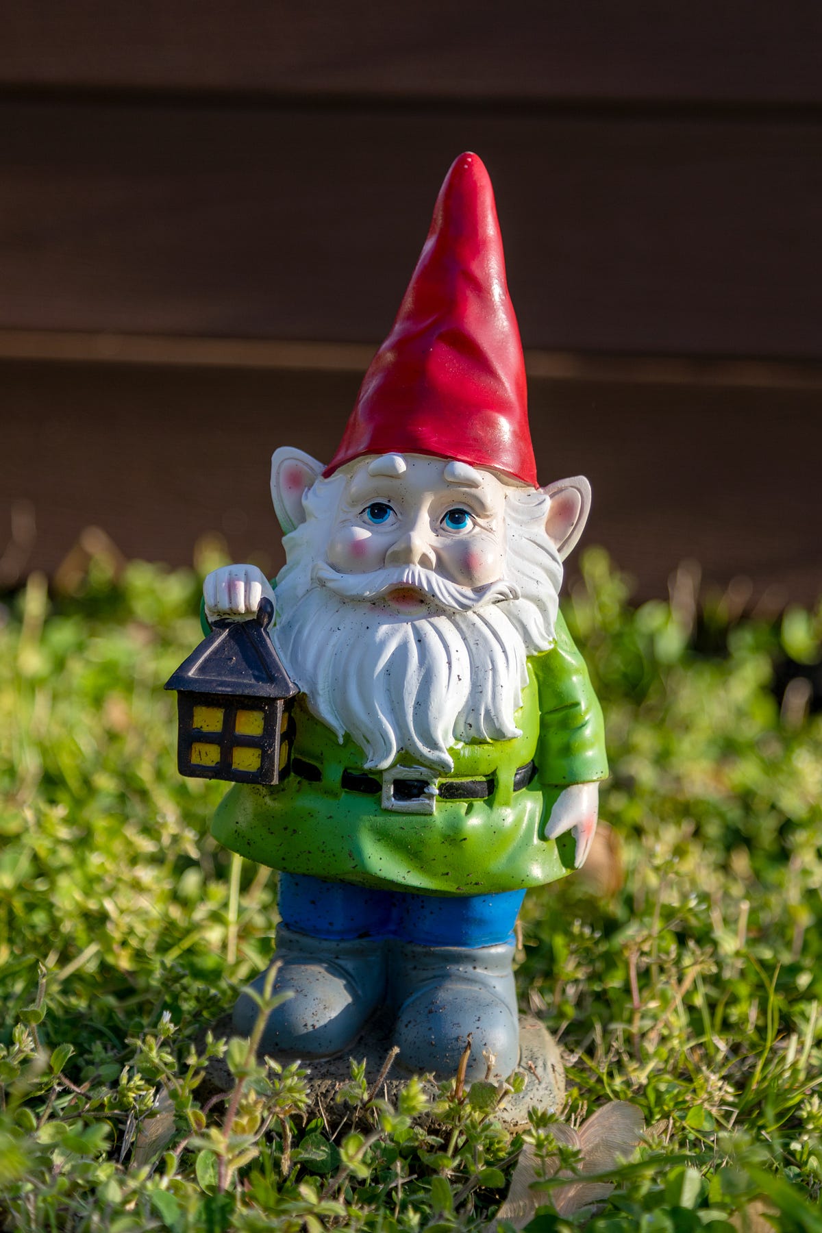 The Secret Lives of Garden Gnomes: A Tell-All Expose on the Great ...