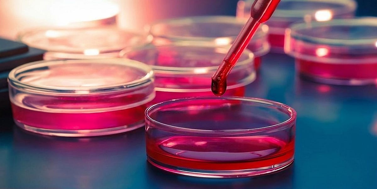 How Operator Mistakes Lead to Cell Culture Contamination and the ...