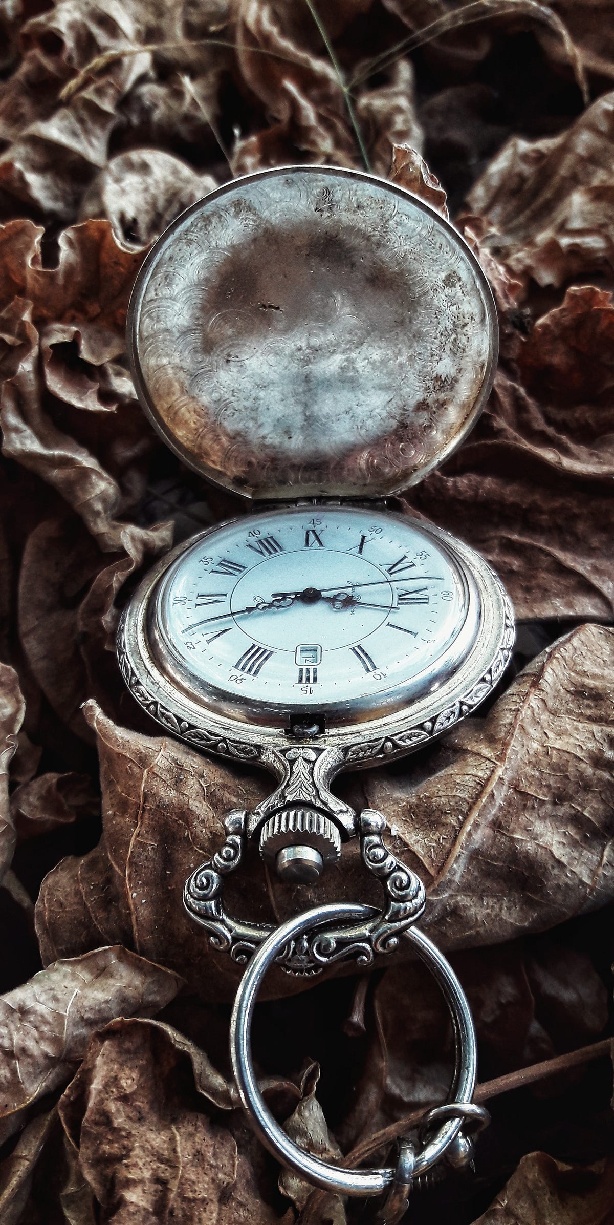 The pocket watch part one.. Casper and Lydia had been up in her… | by ...