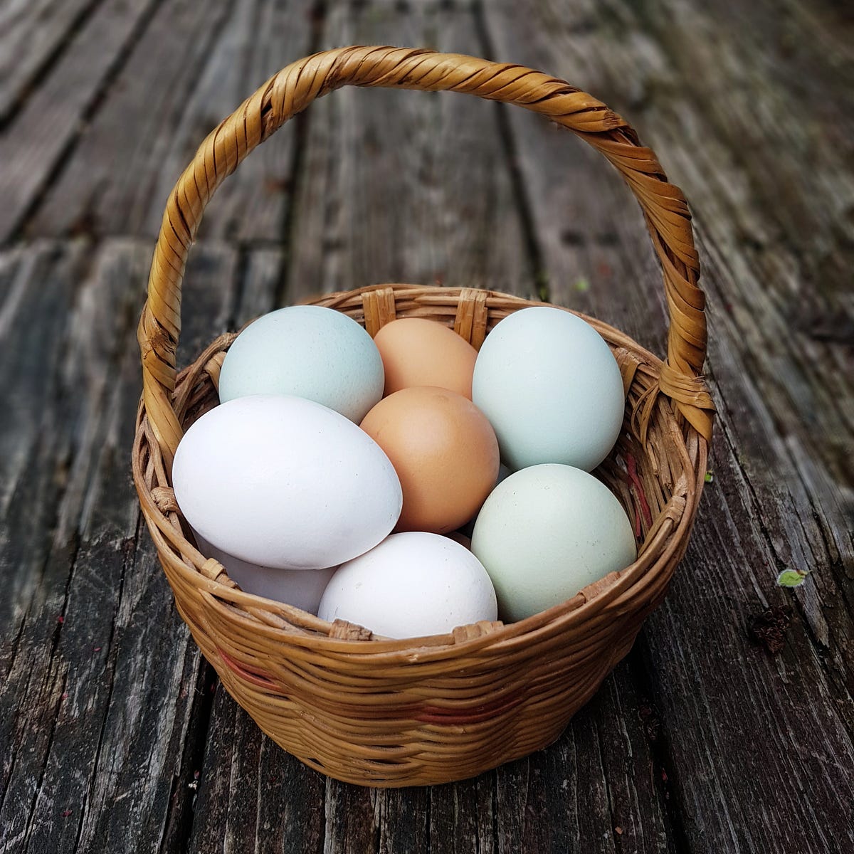 Why is diversification important? The two sides of the equation | by ...