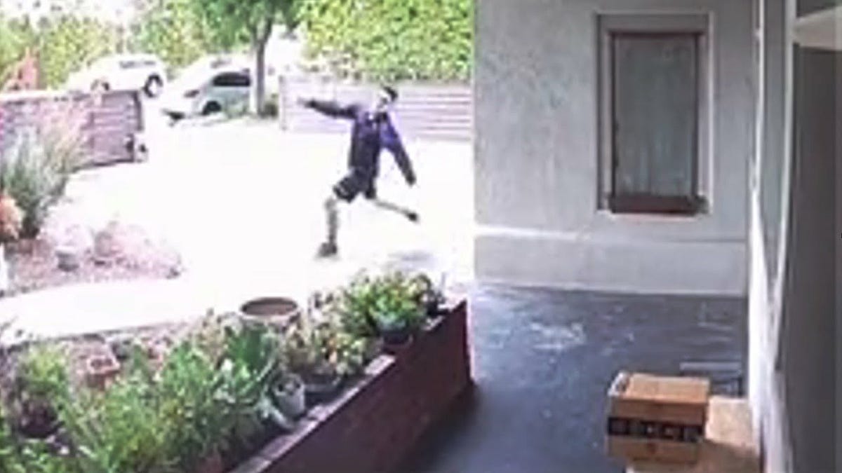 Famous Fedex Dancer is My Delivery Guy | Doorbell Camera Video ...