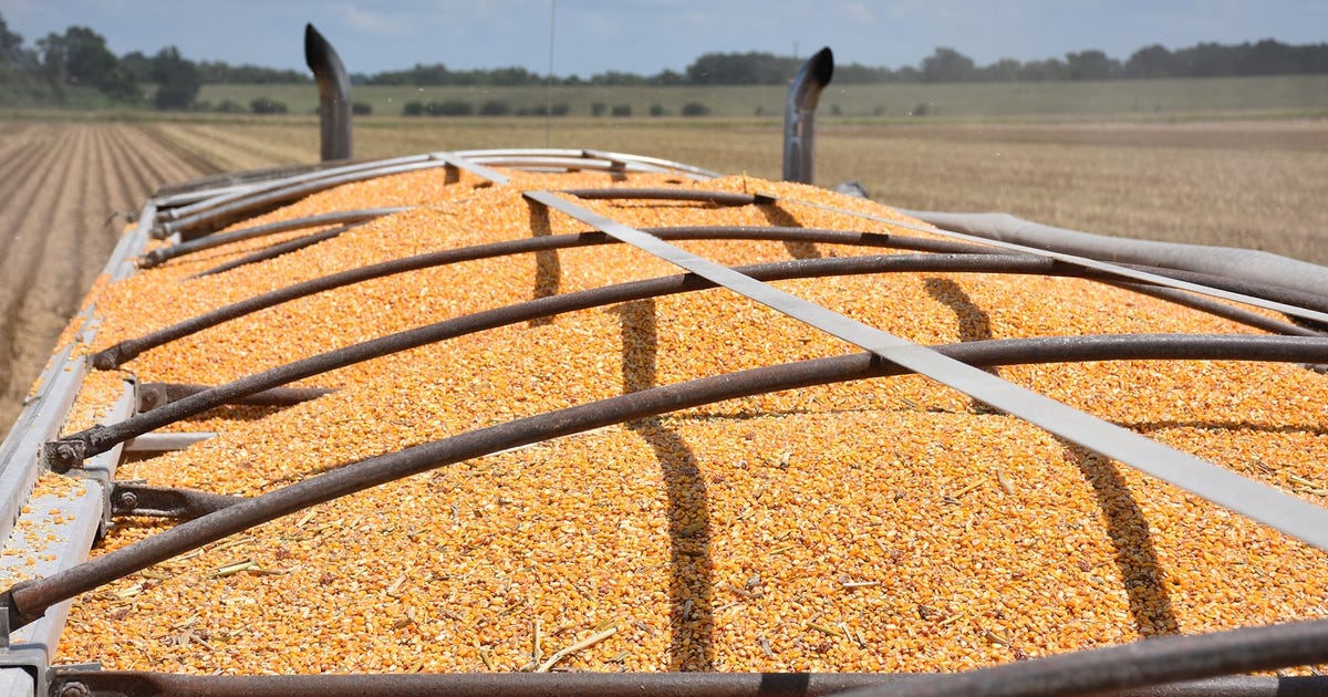 Higher interest rates mean higher production costs | by Rahul | Medium