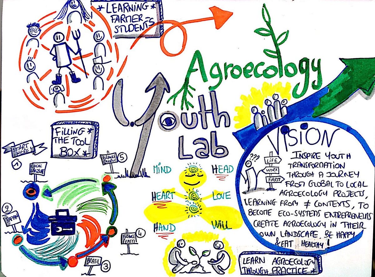 A Youth Lab for Agroecology. A project to connect students and… | by ...