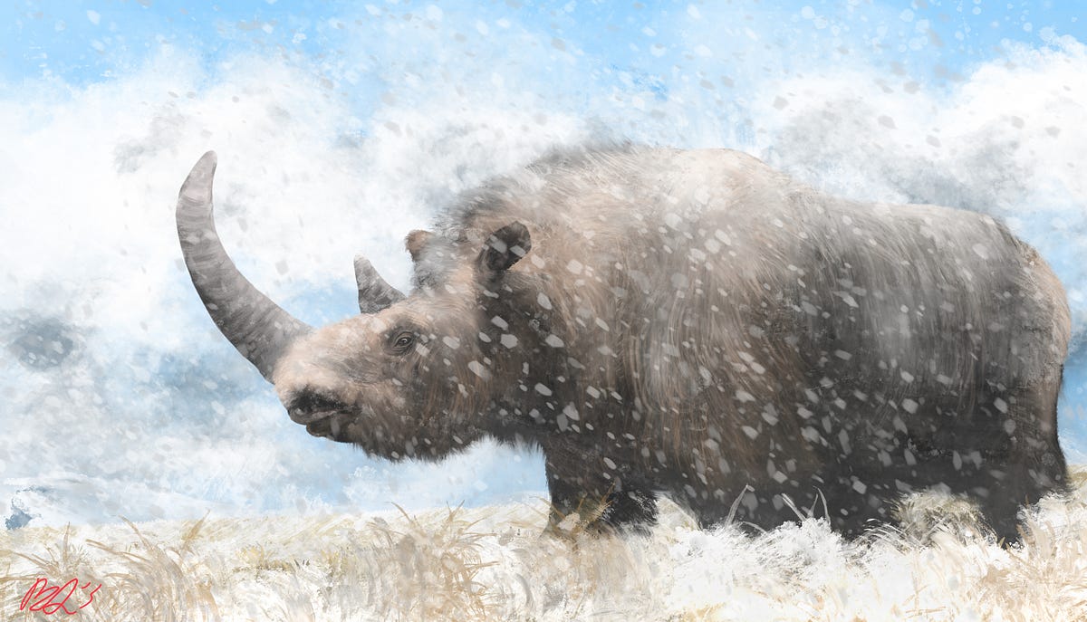 Unusual DNA: Woolly Rhino DNA Found Inside Mummified Wolf ’s Stomach ...