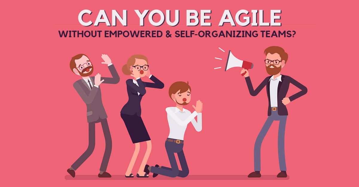 Can You Be Agile Without Empowered & Self-Organizing Teams? | by ...