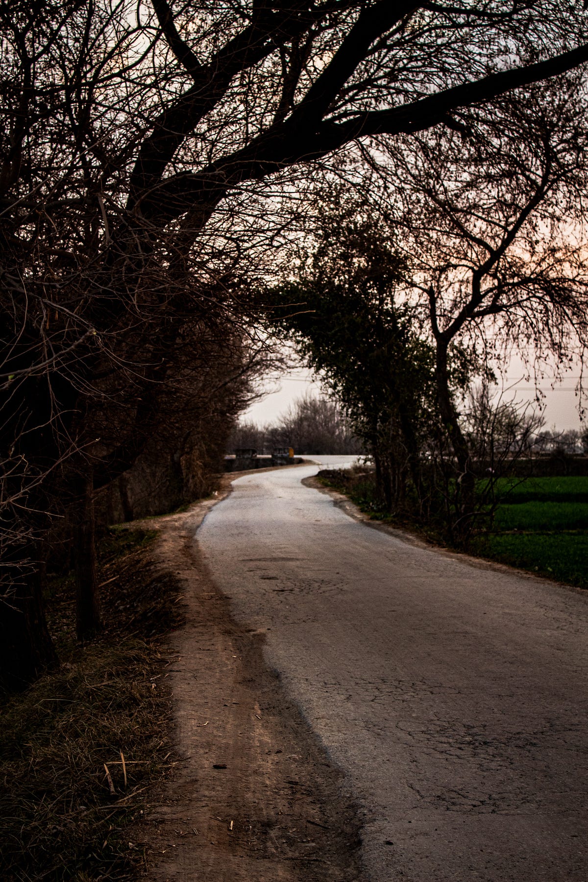 The Road to Home. A poetic ode to a beloved homeland | by Muhammad ...