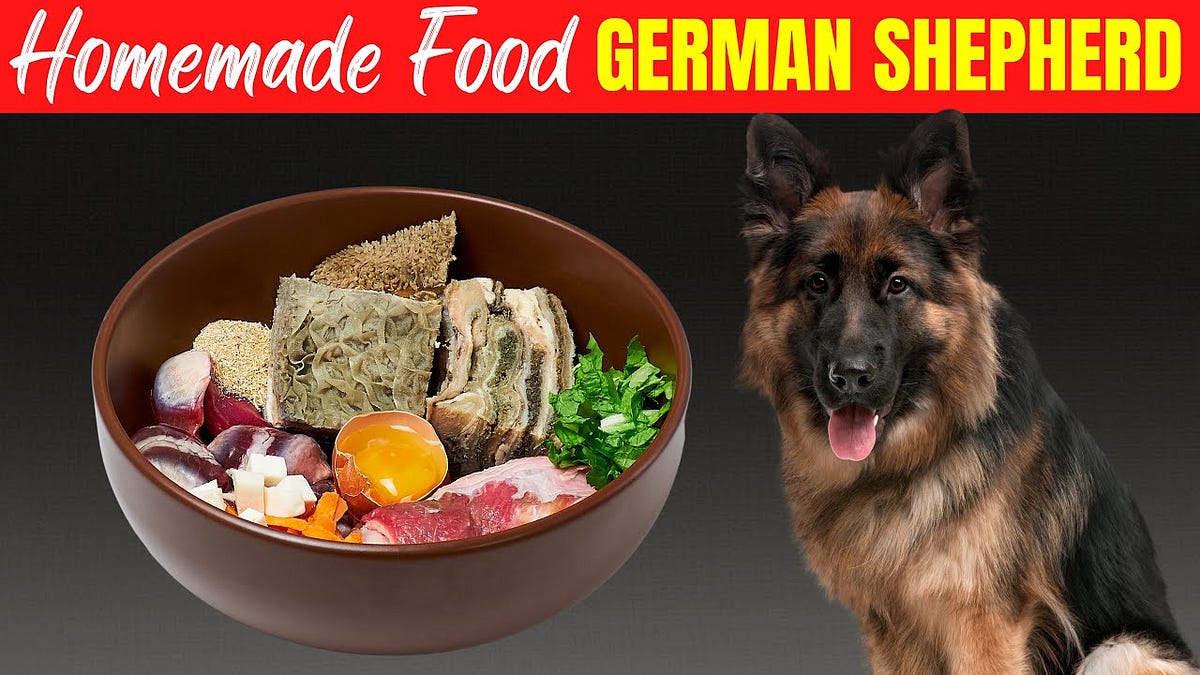 Best Diet For German Shepherd | by Webermarleyrtx | Jan, 2024 | Medium