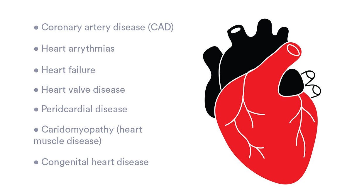 The Best Nutritionist-Approved Diets for a Healthy Heart | by Your ...