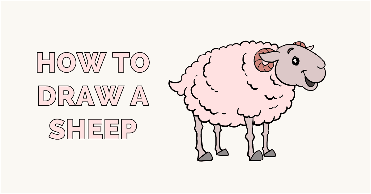 How To Draw A Sheep