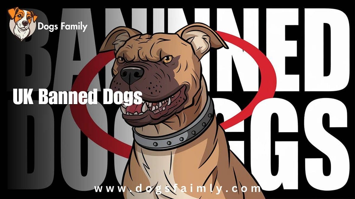 UK Banned Dogs — Dogs Family. UK Banned Dogs breeds face bans under ...