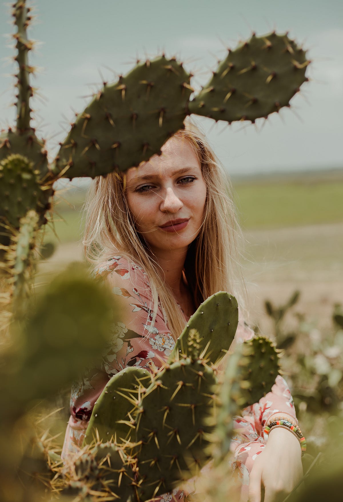 Confessions of a Serial Plant Killer | by Connie Song | The Memoirist ...