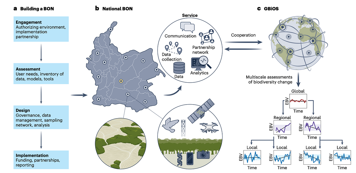 GBiOS: A global observatory to monitor Earth’s biodiversity. | by Vizzuality | Vizzuality Blog ...
